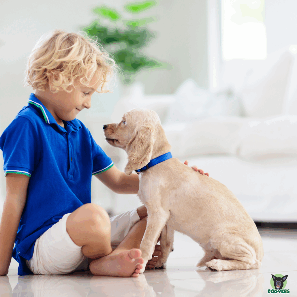 Hunderatgeber Hundehaltung: Alles wichtigen Infos und Tipps