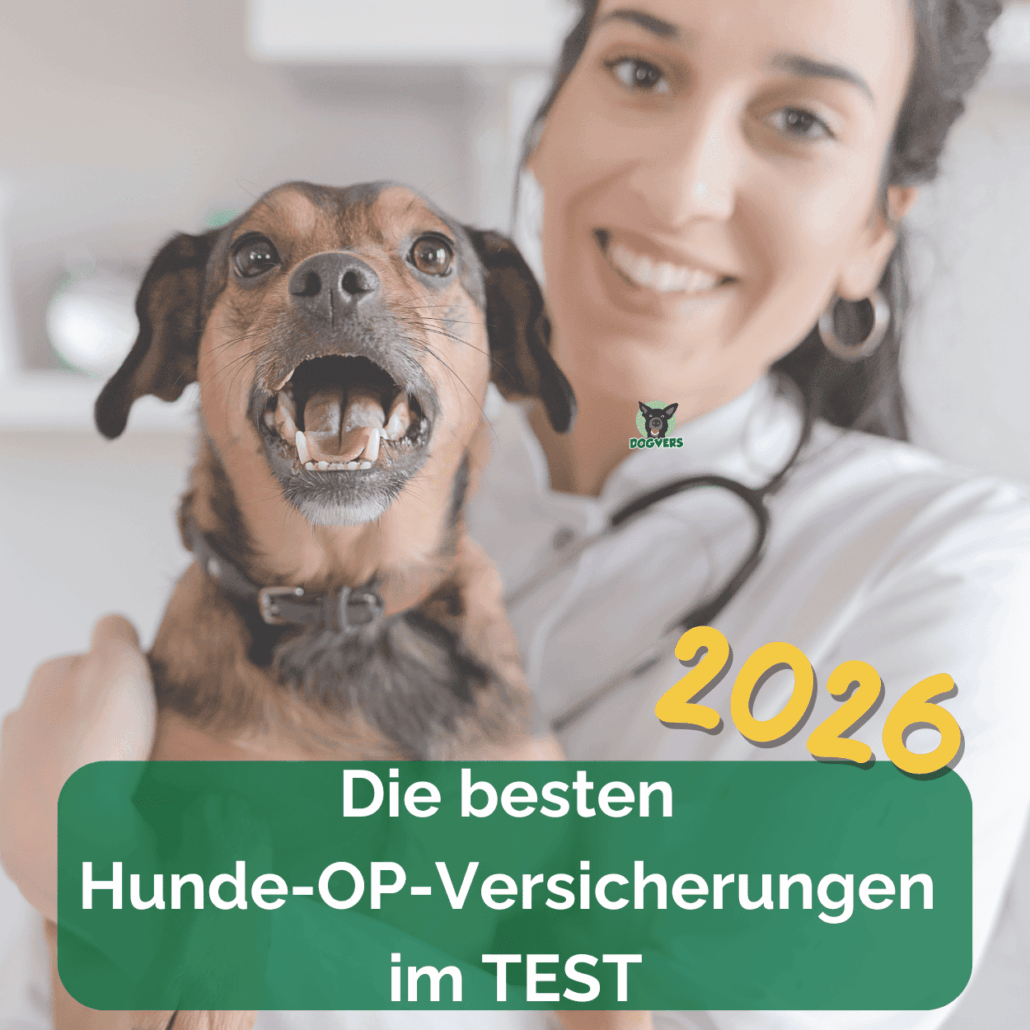 Beste Hunde Op Versicherung