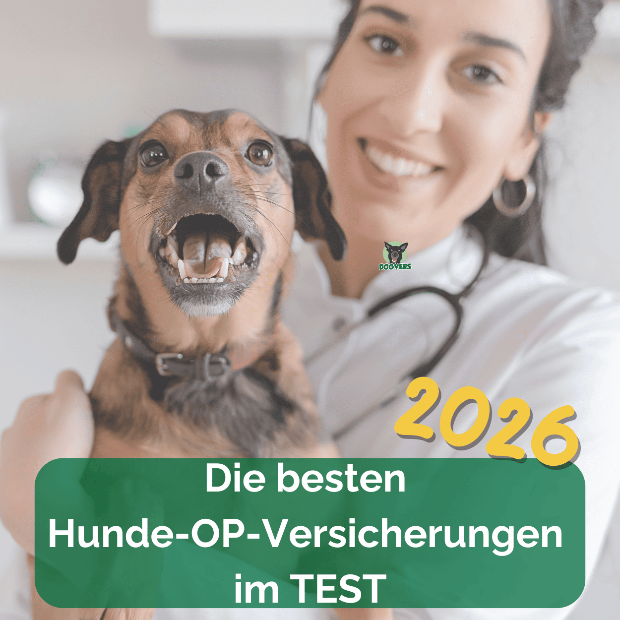 Fabelhafte Hunde Op Versicherung Nachtraglich Bilder