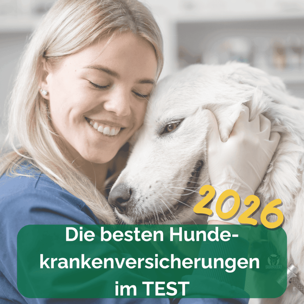 Fabelhafte Hunde Op Versicherung Nachtraglich Bilder