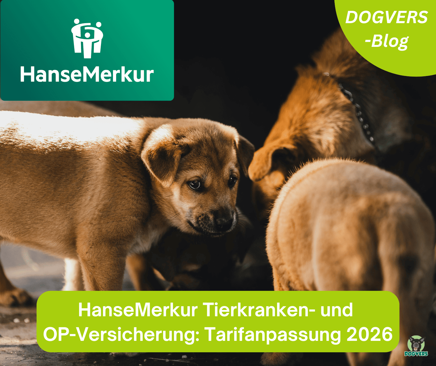 Hanse Merkur Erstattung Dauer